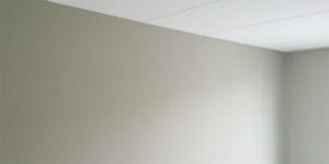 Behang verven kan dit wel? En wat is de prijs van het schilderen?